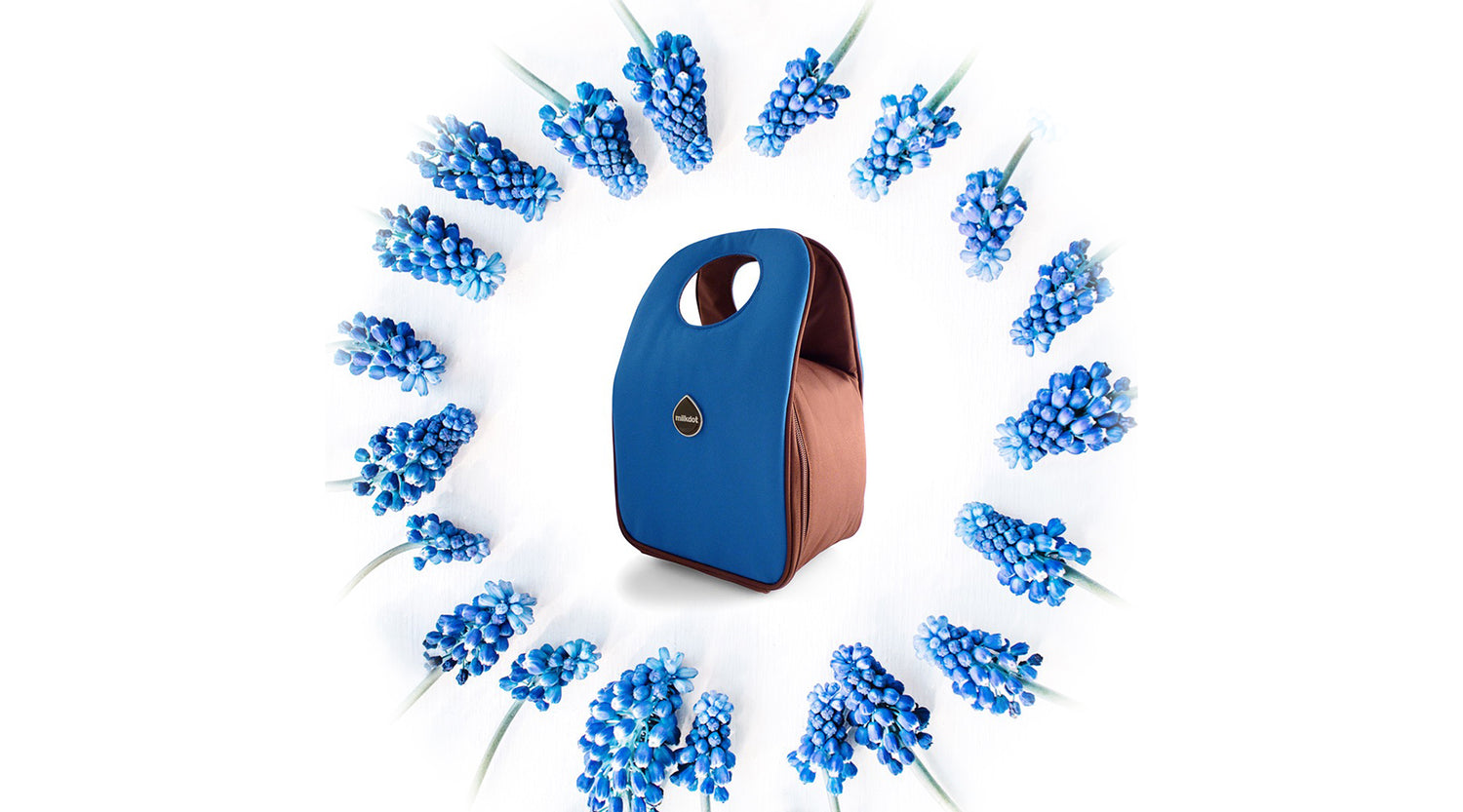 3 Easy Ways to Keep Your Lunch Box Clean – milkdot